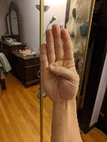 American Sign Language Letters Object Detection Dataset by David Lee