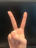 American Sign Language Letters Object Detection Dataset by David Lee