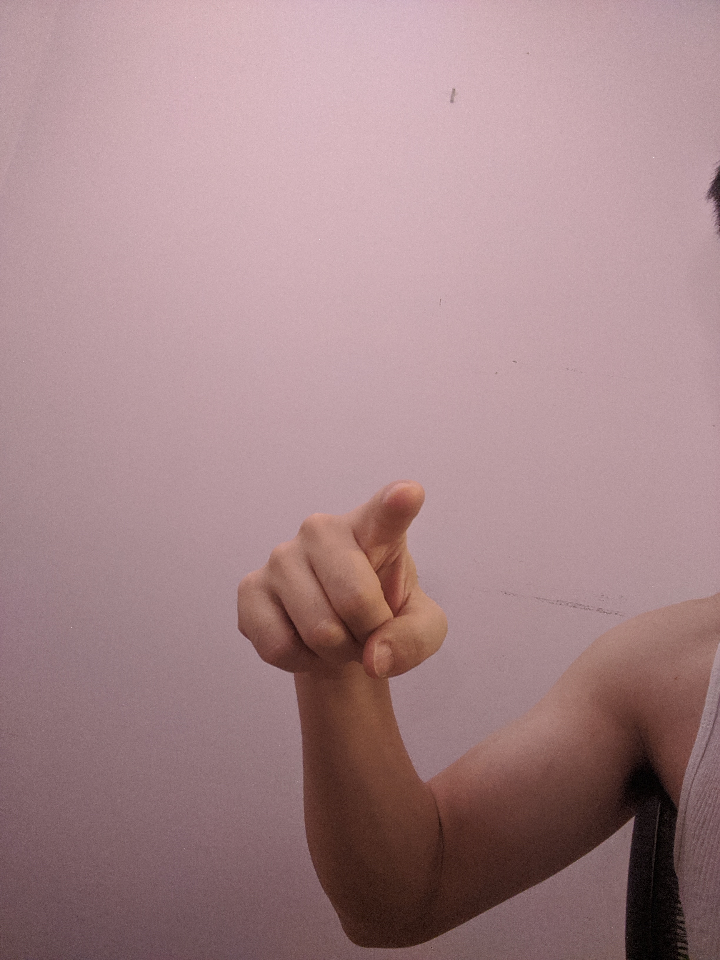 American Sign Language Letters Object Detection Dataset by David Lee