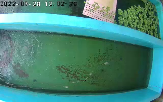 Water Bobble Detector Object Detection Dataset By Topdown Lee