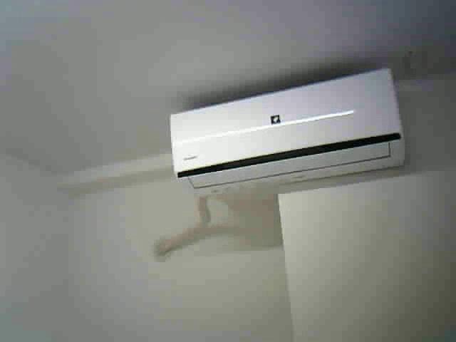 Amp_Status Object Detection Dataset by Roomdata