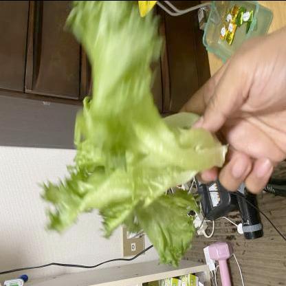 Burger Ingredients Object Detection Model by SmartOrder