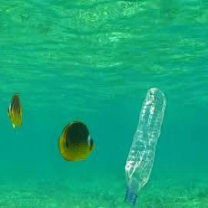 OBJECT DETECTION IN PICTURES Object Detection Model by ML GANG