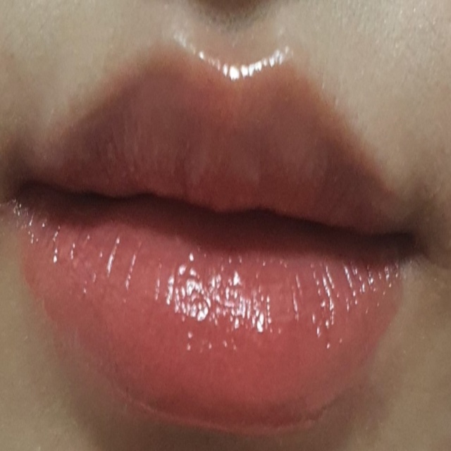 lip_instance Instance Segmentation Dataset by system23