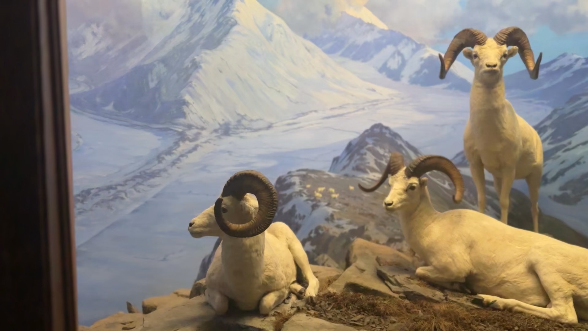 animals-in-diorama Object Detection Dataset and Pre-Trained Model by amnh