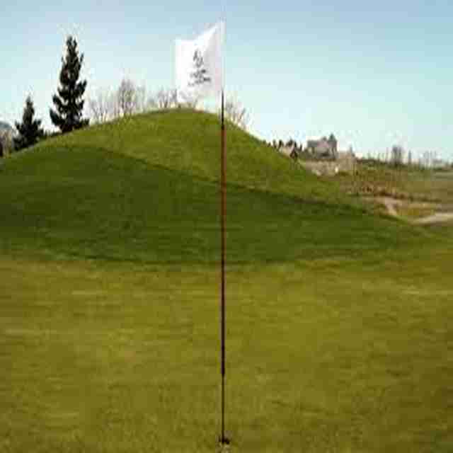 Flag Stick Object Detection Dataset by golf green flag stick