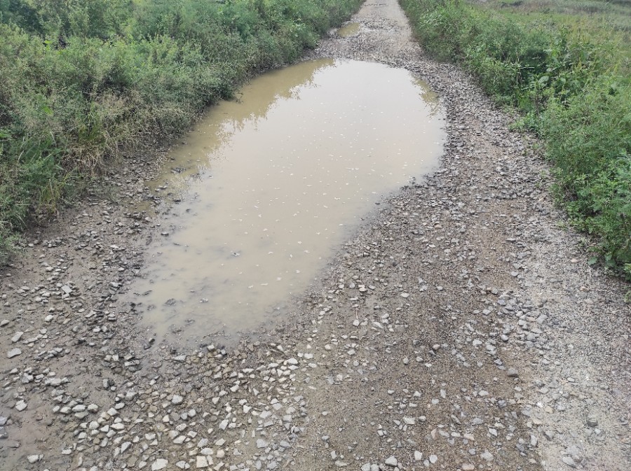Puddle Detection Object Detection Model By Hanyang University