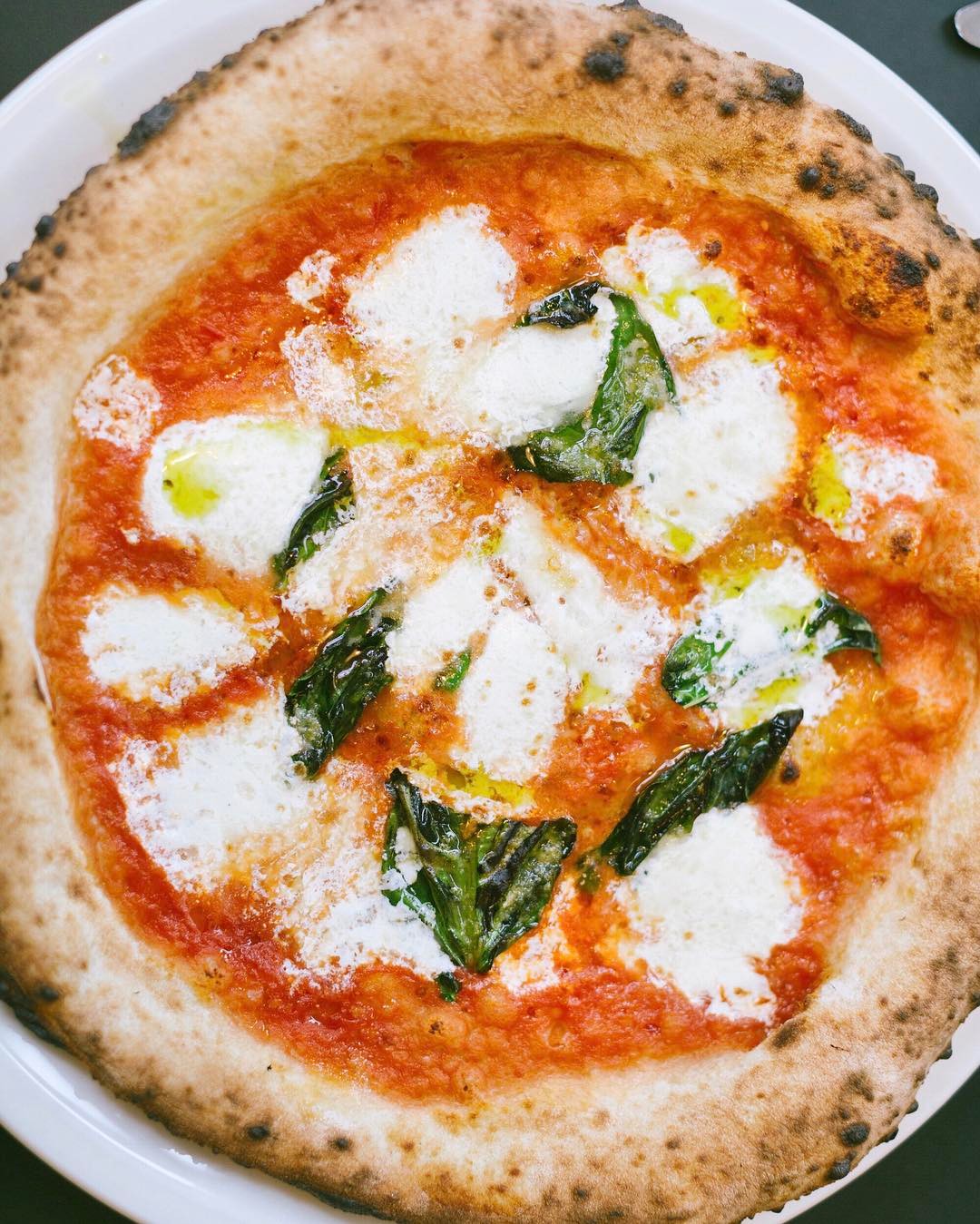 Cv Asssignment Pizza Dataset Object Detection Dataset And Pre Trained