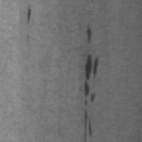 steel plate surface defects Semantic Segmentation Dataset by linzhong