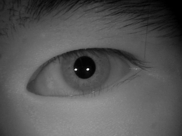 IRIS RECONIGTION PFE_essai Object Detection Dataset by kary