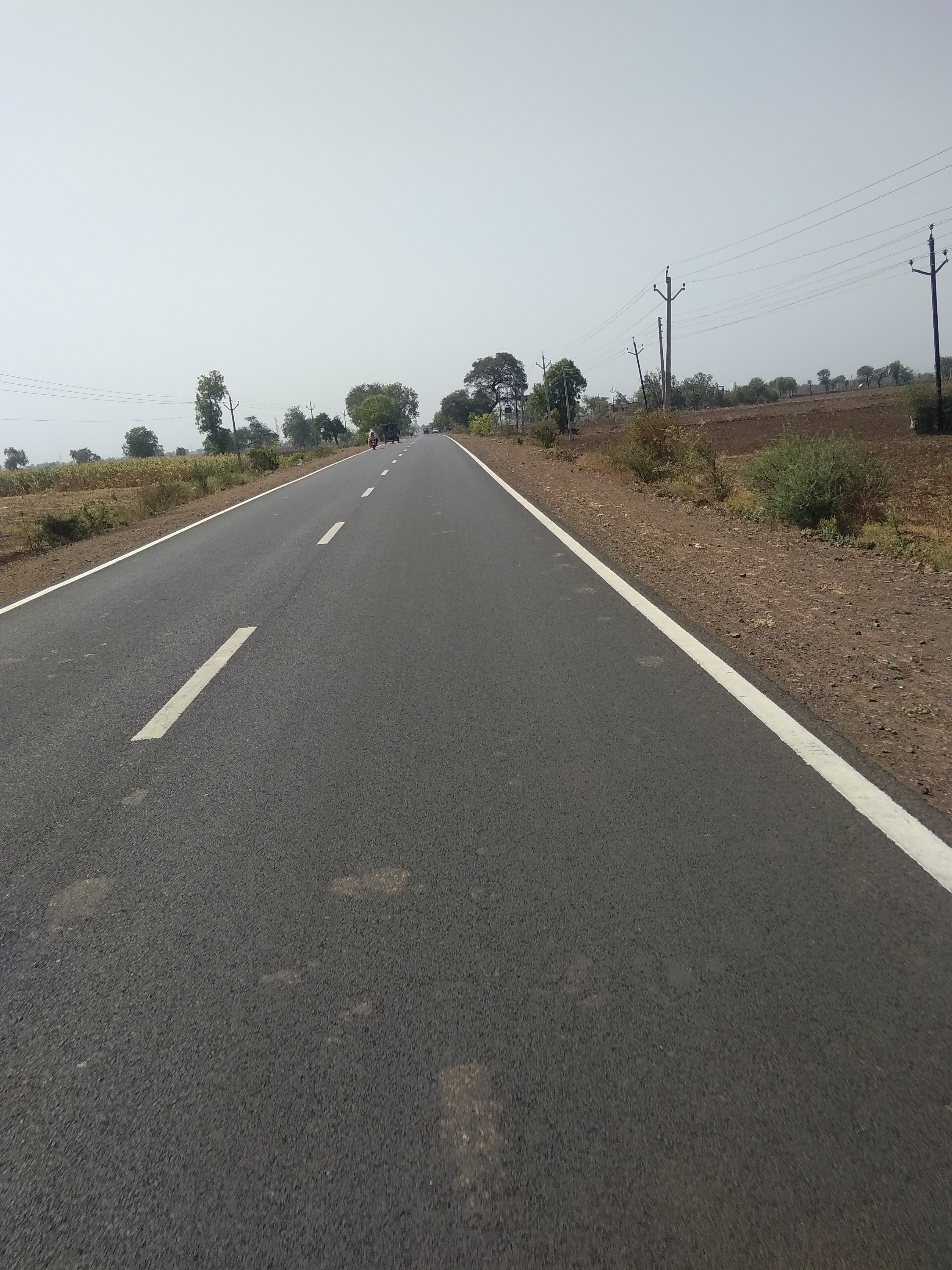 Lane|Road line Detection Dataset Object Detection Dataset by rabeb