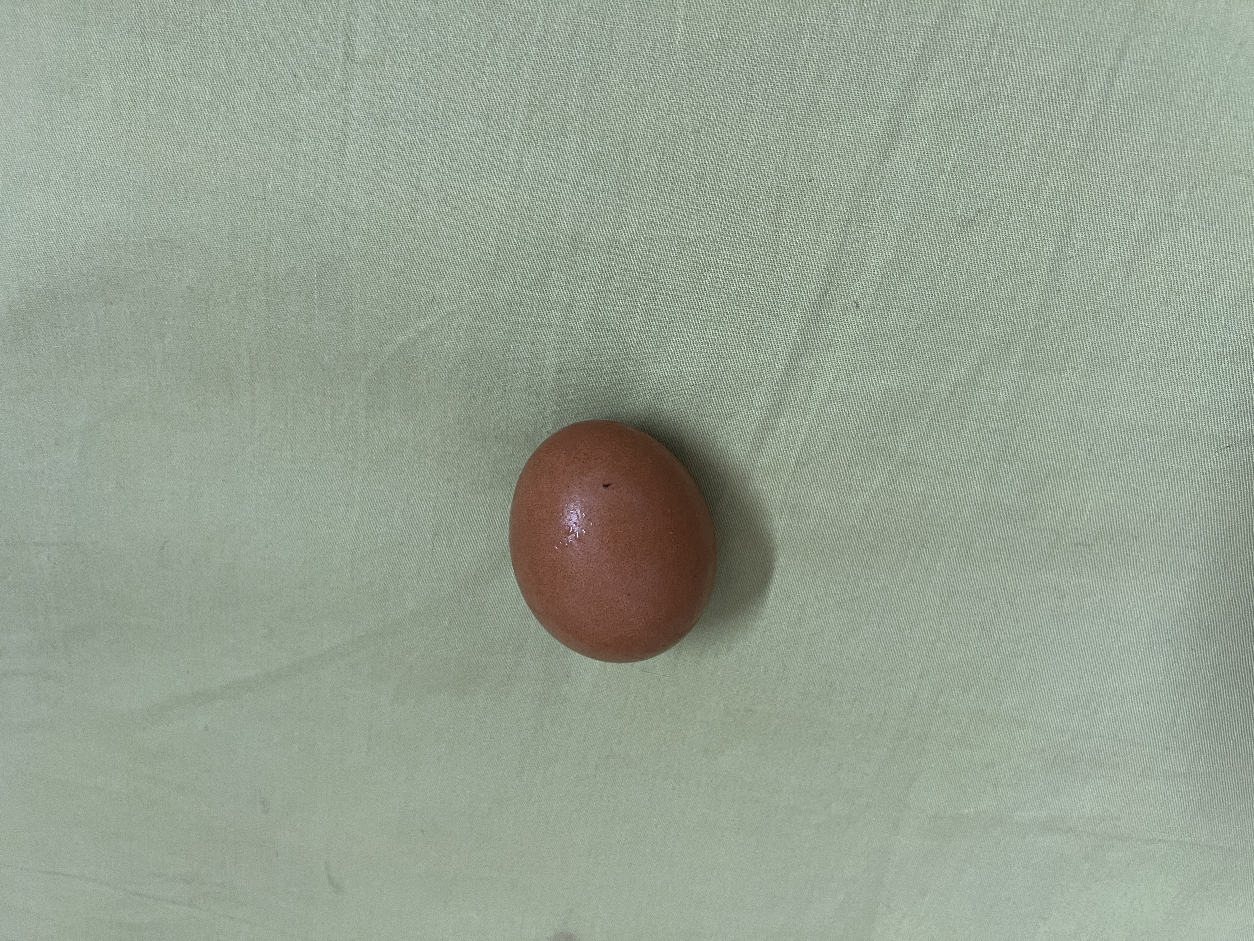 Egg-Detect Object Detection Model by KMITL