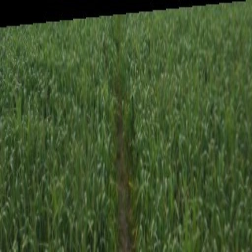 Semanticsegmentationtest Semantic Segmentation Dataset And Pre Trained Model By