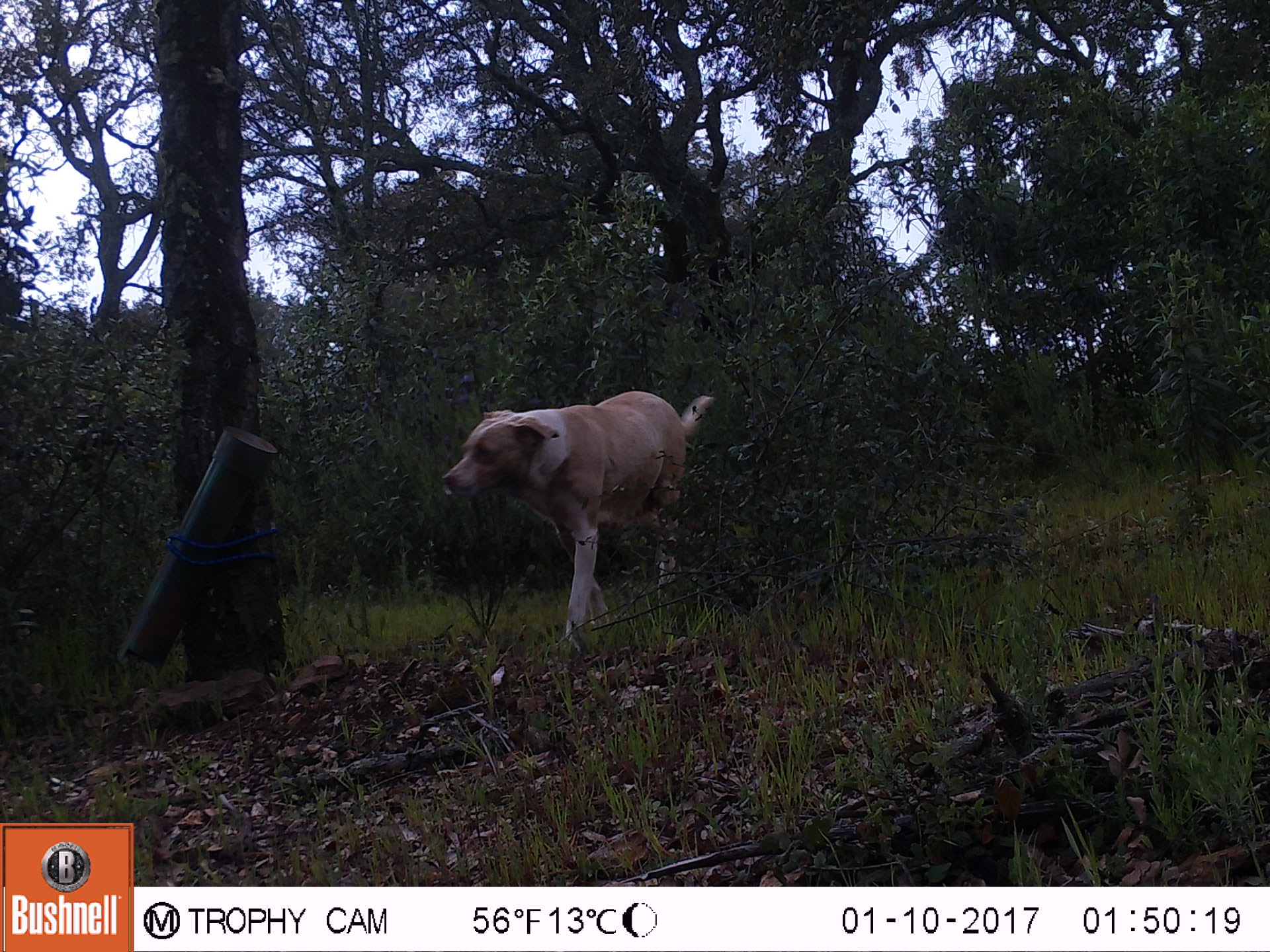 Projeto Jb Roboflow Universe