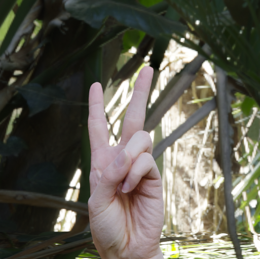 asl-alphabet Object Detection Model by pratheesh