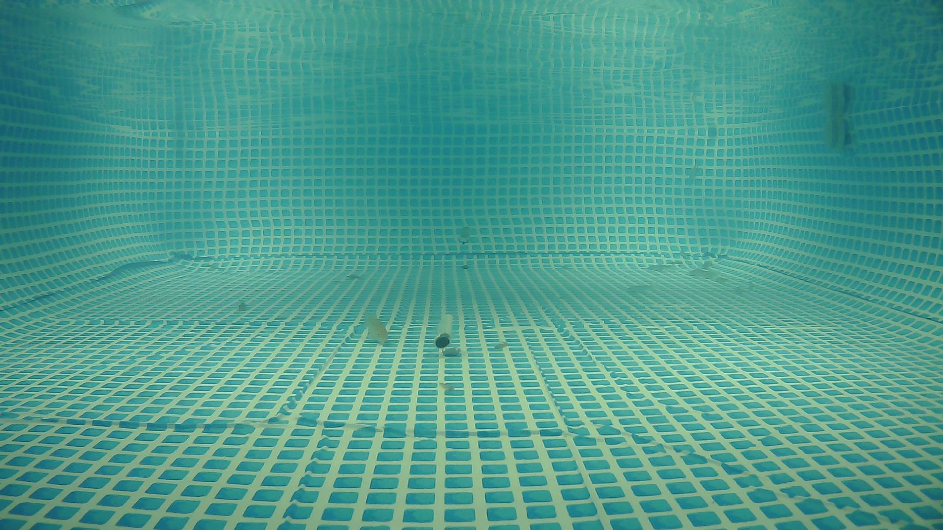 calcurate_val_Raw_adding_yoshinobori Object Detection Dataset by Fish