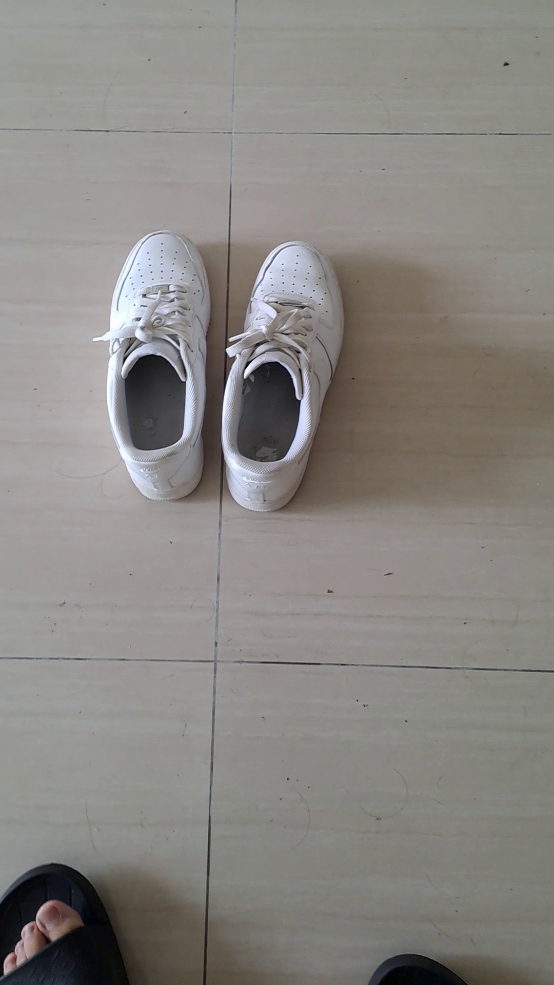 sho Object Detection Dataset by project-sij2q