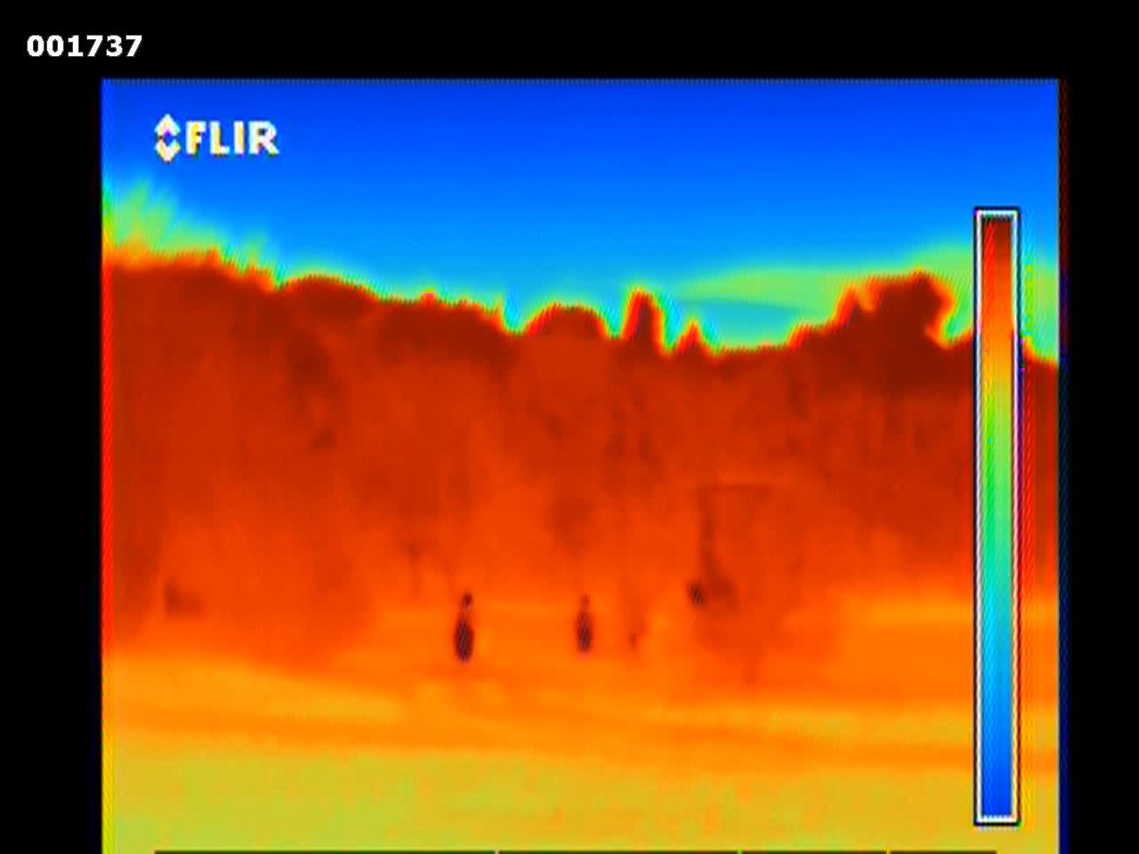 Thermal Image Detection Object Detection Dataset And Pre Trained Model