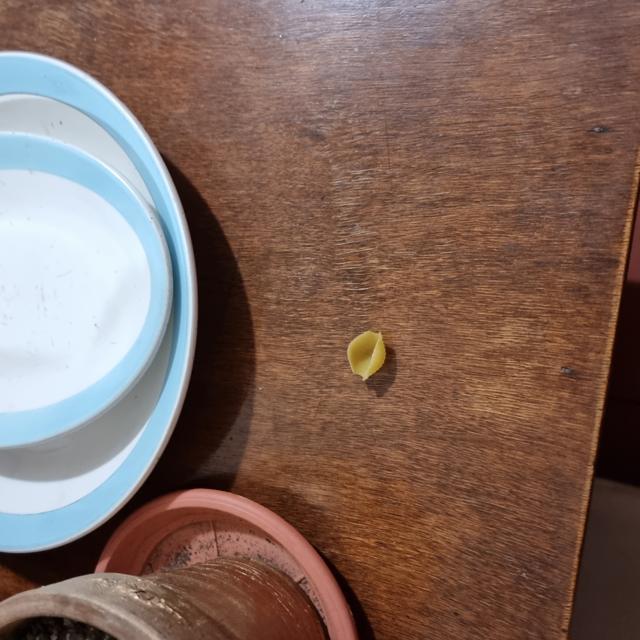 UniversidadSanFrancisco - Roboflow Universe