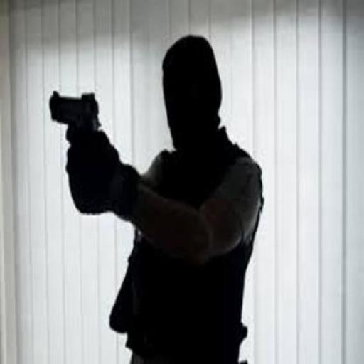 weapon-detect Object Detection Dataset by robloxdeneme