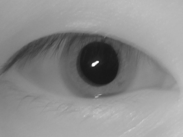 iris Instance Segmentation Dataset by iris