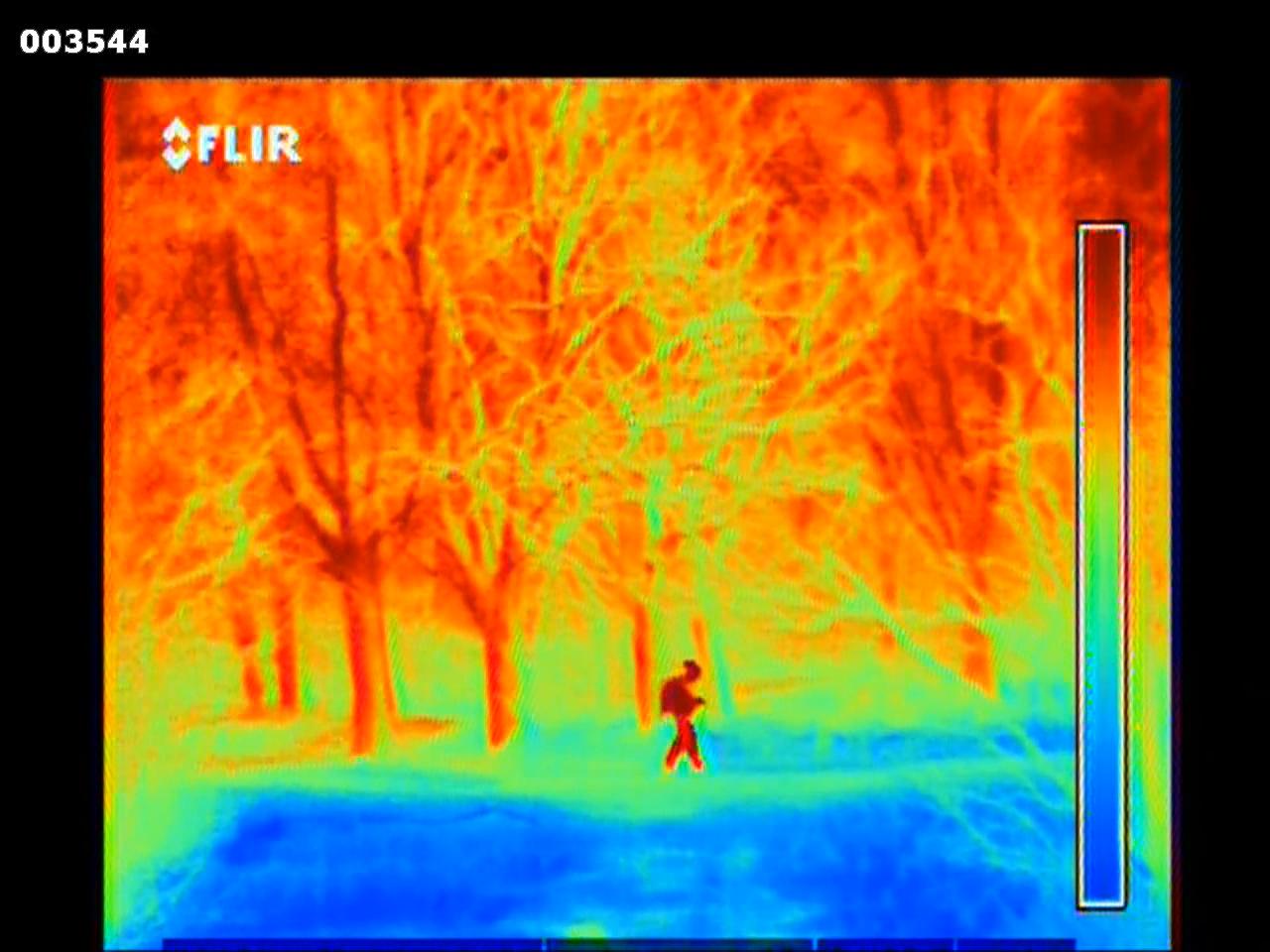 Second Dataset 1 Object Detection Dataset By Dataset