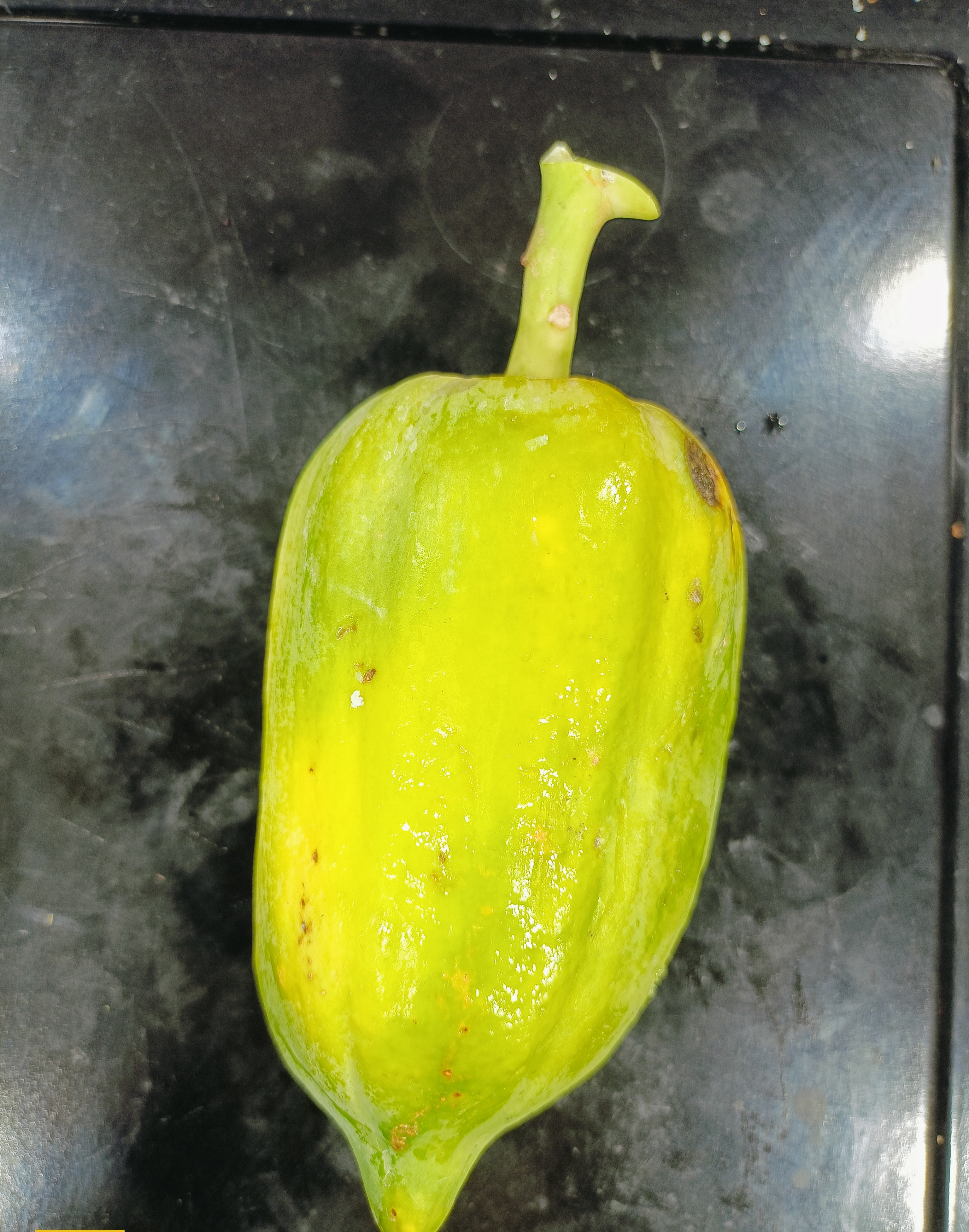 vegetable_fruits Instance Segmentation Dataset by BrandDetection