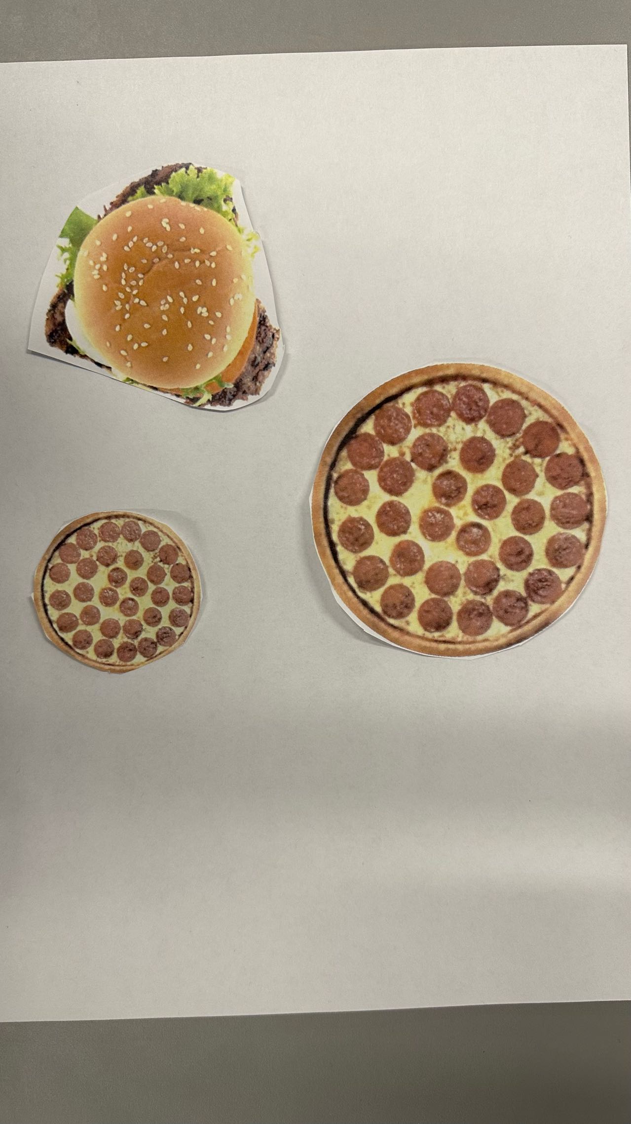 cpen391 Object Detection Dataset and Pre-Trained Model by UBC