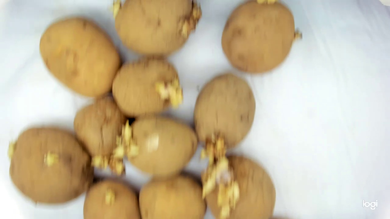 Segmentation Sprout Potato Instance Segmentation Dataset by Sprout Potato