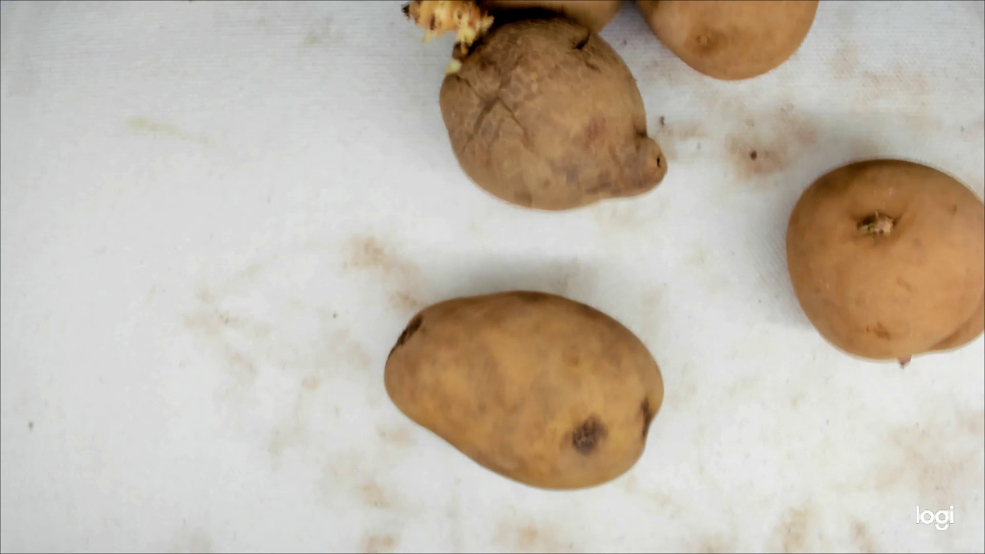 Seg Sprout Potato Instance Segmentation Dataset by Sprout Potato
