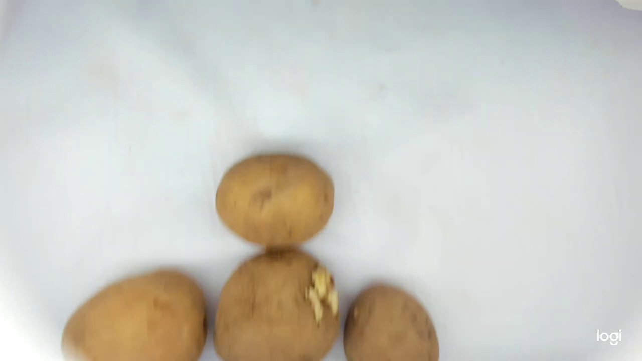 Speed 0,35 m/s Instance Segmentation Dataset by Sprout Potato
