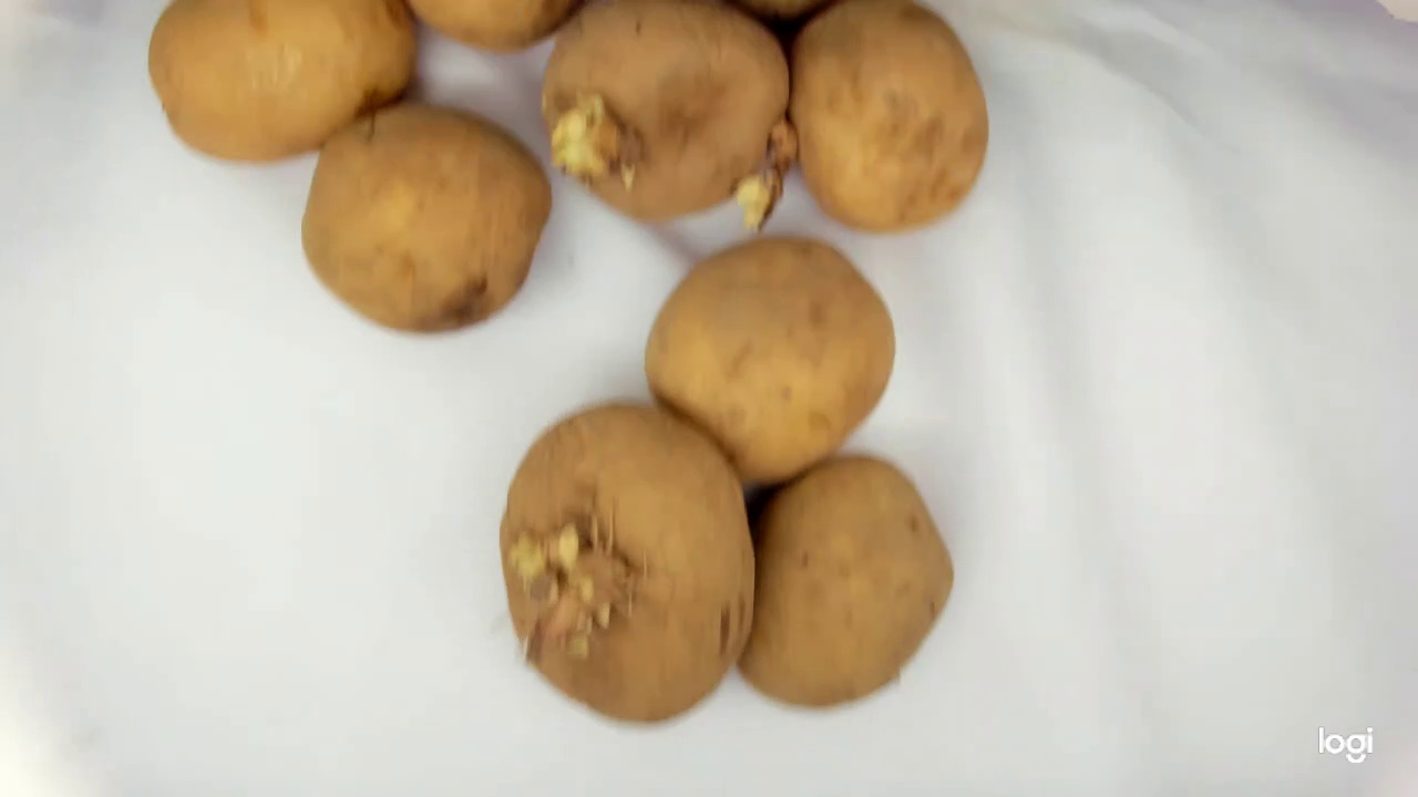 Segmentation Sprout Potato Instance Segmentation Dataset by Sprout Potato