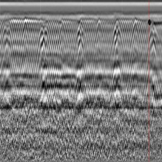 Radar Object Detection Dataset By Kiseki