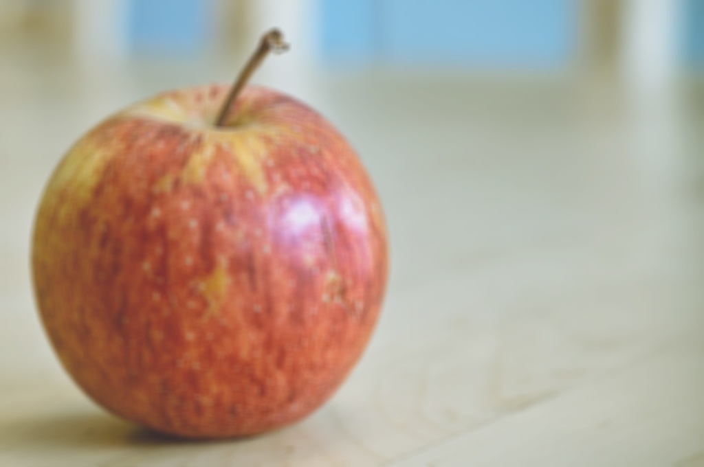 Yolov5 Object Detection Dataset And Pre Trained Model By School