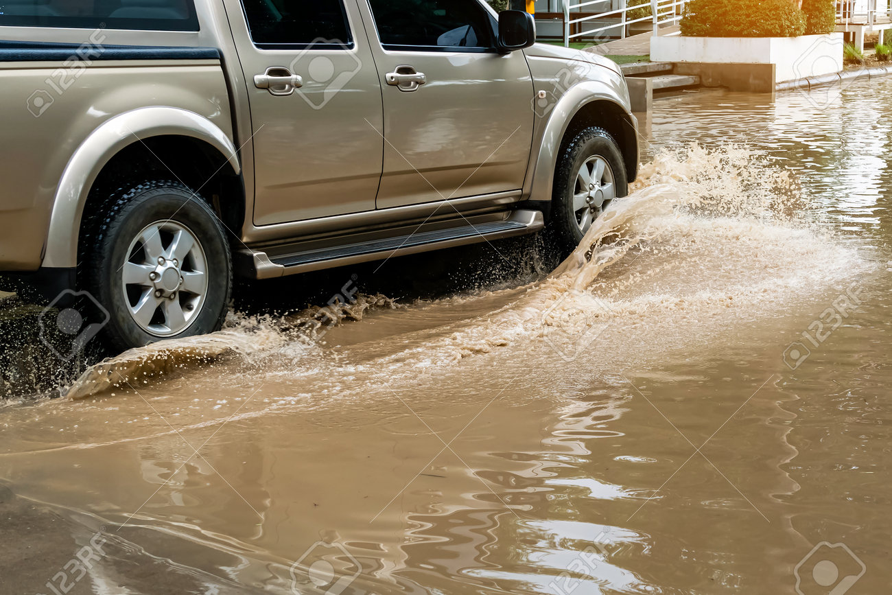 Projectseg Instance Segmentation Dataset By Sung Eun Kim