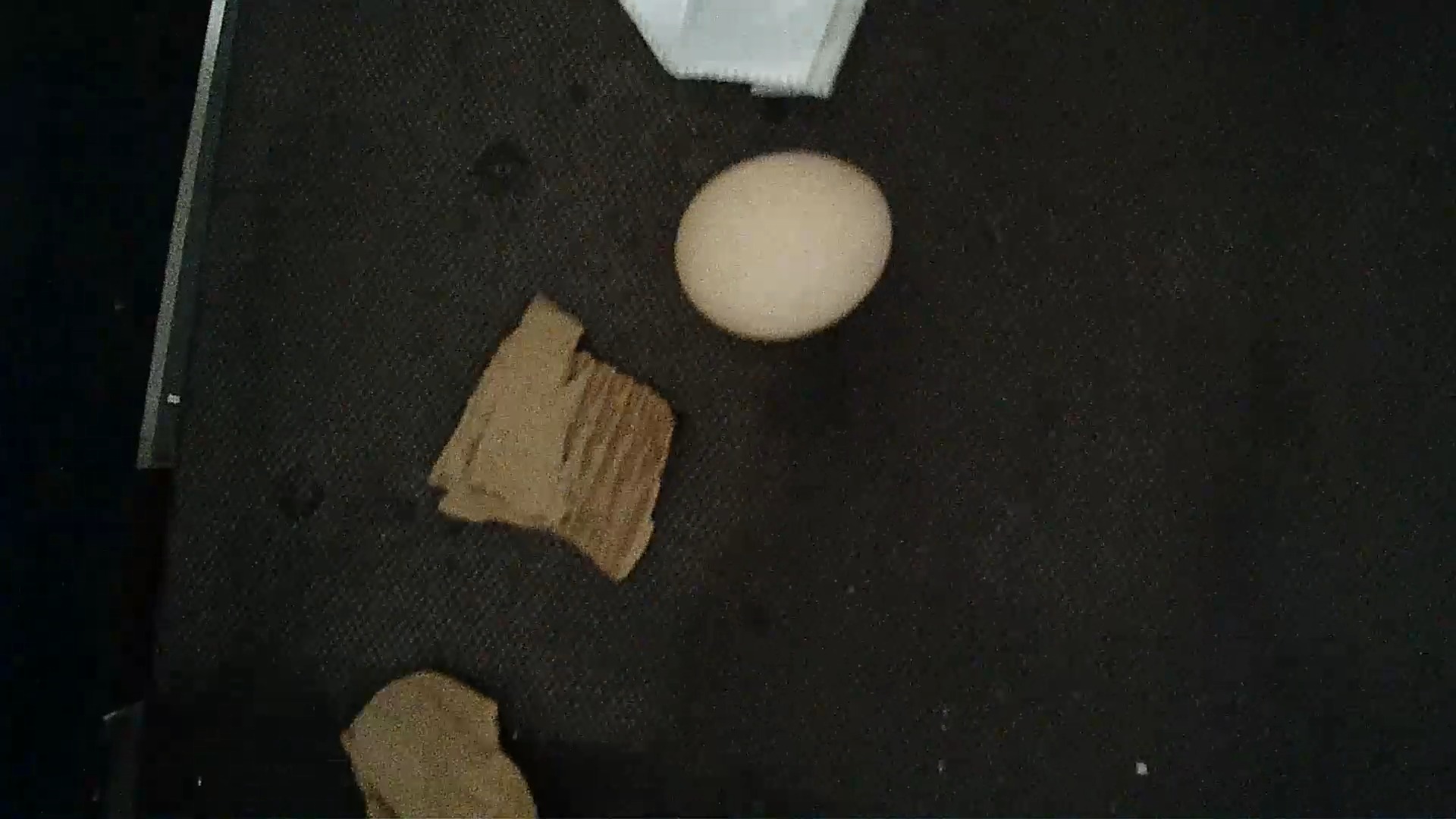 egg classification Object Detection Model by shrinivas1