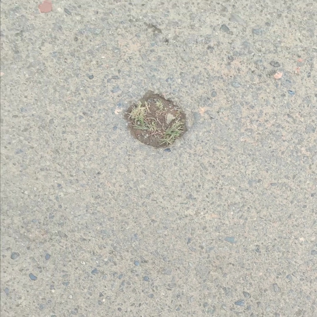 pothole_detection Object Detection Model by test