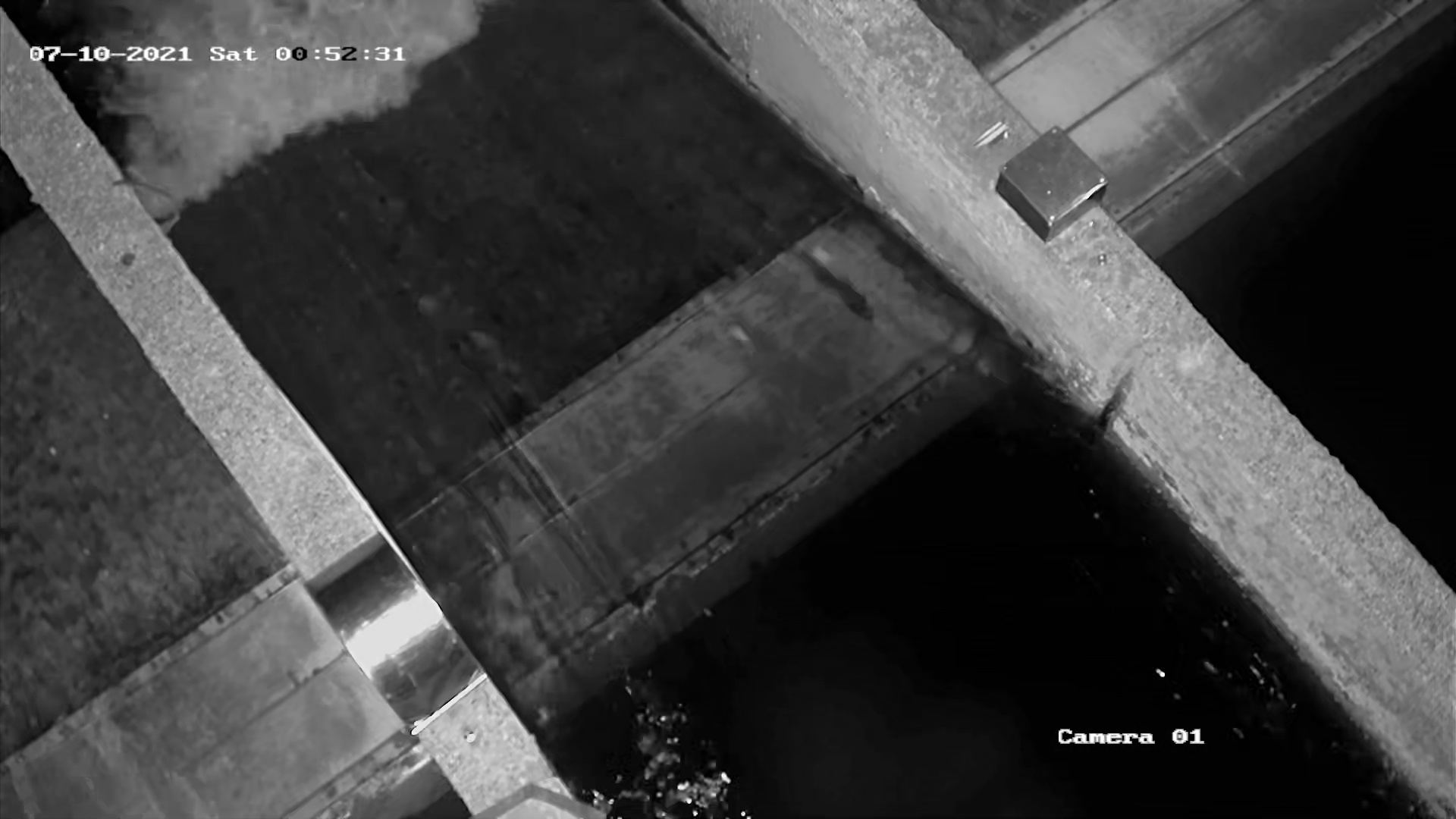 Updated Dataset Object Detection Dataset By Nis Reddy
