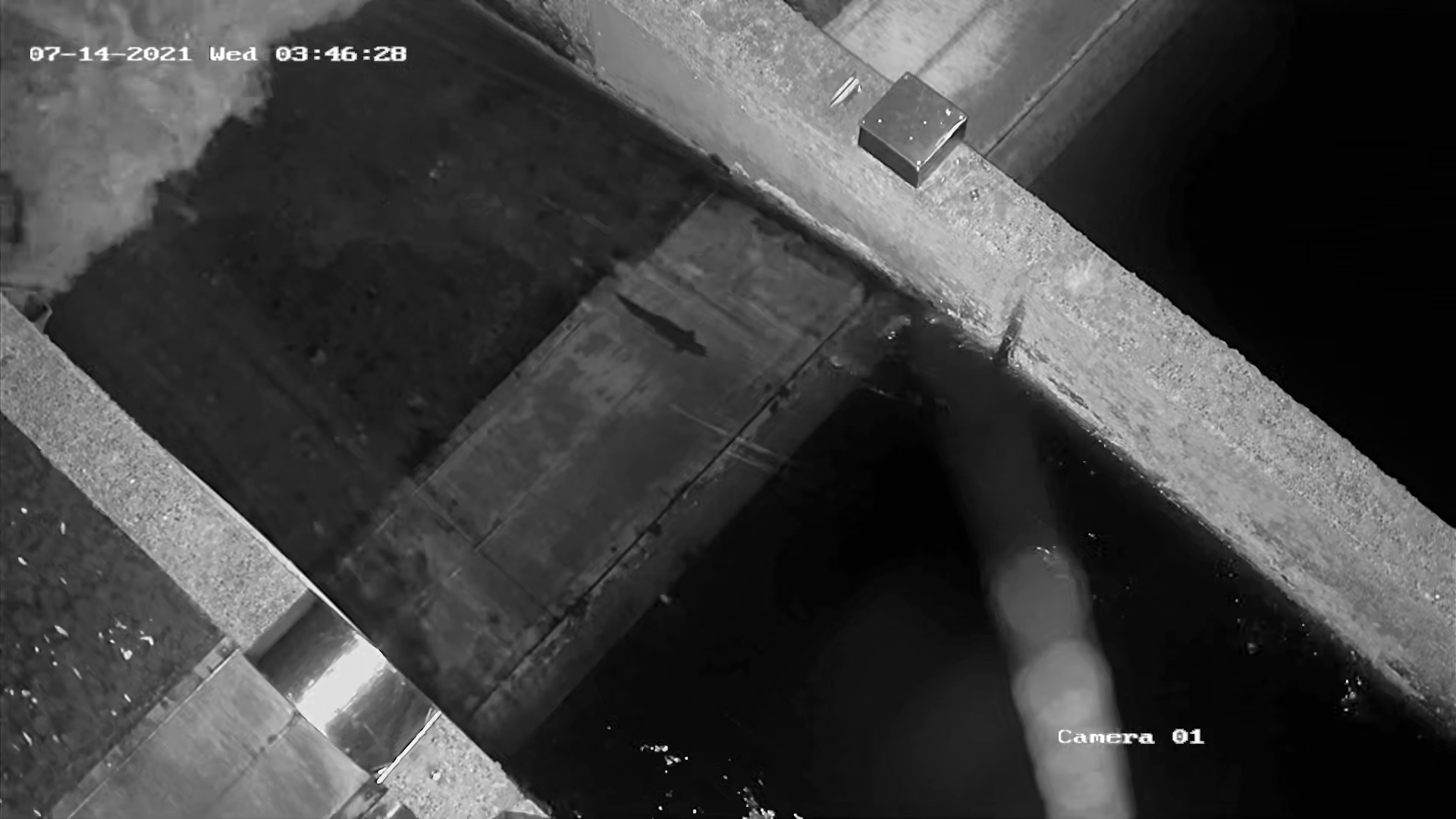 Test Object Detection Dataset By Nis Reddy