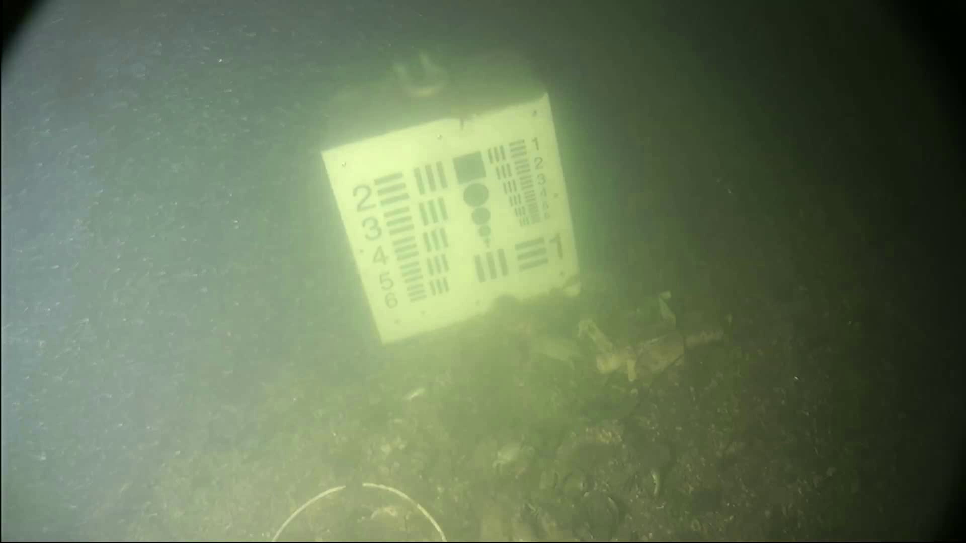 Detection underwater Object Detection Dataset by pfa