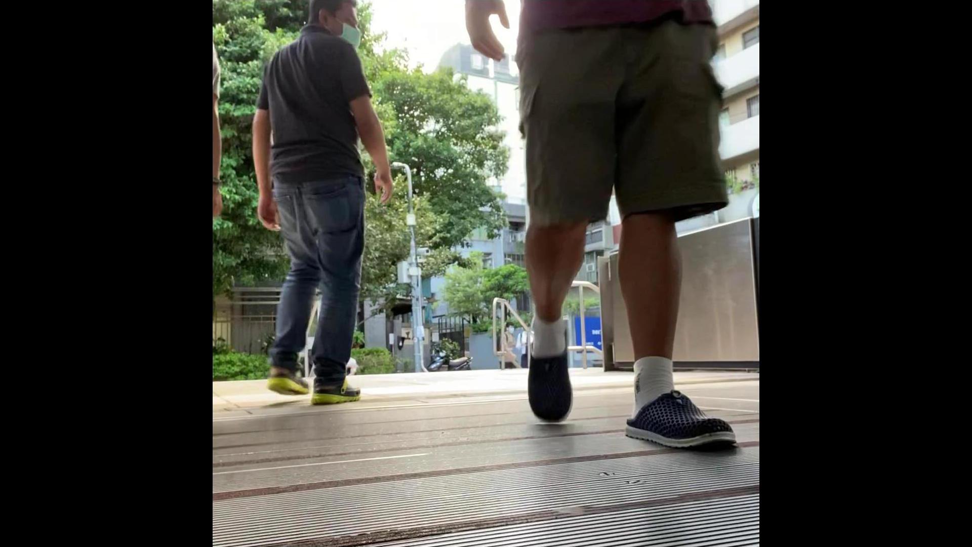 CROCS Object Detection Dataset by UCL