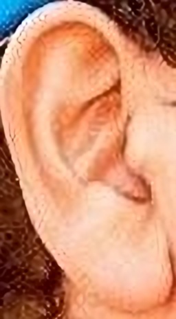 Ear Object Detection Dataset by Sukhad