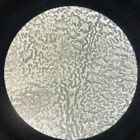 DURIN Stomatal peels - Roboflow Universe