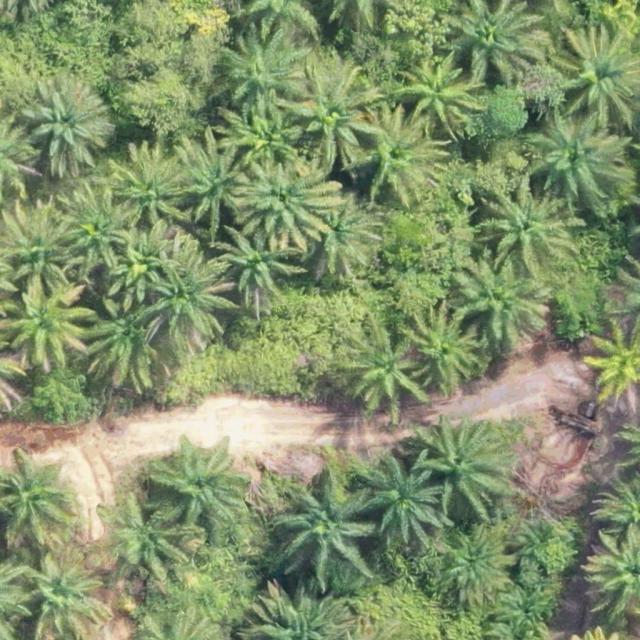 Segmentasi Kelapa Sawit Instance Segmentation Dataset and Pre-Trained Model by KRPA