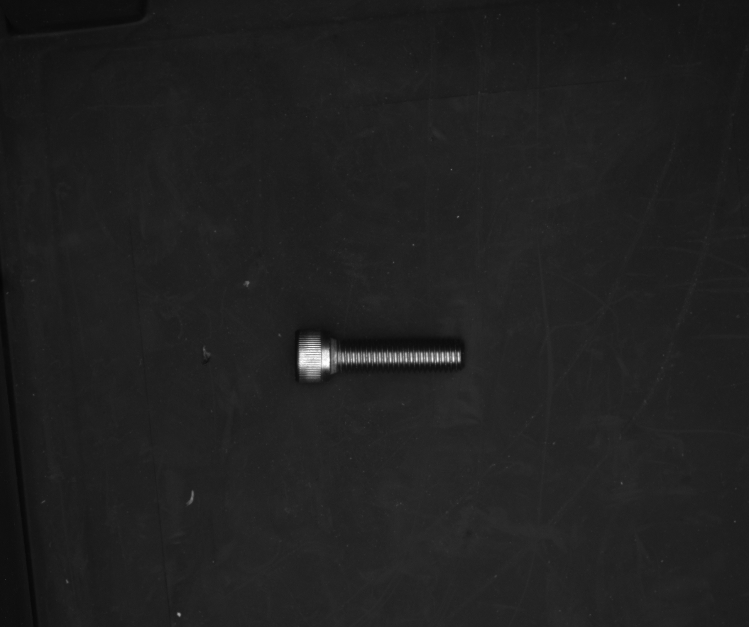 screw segmentation Instance Segmentation Model by DevIAstage