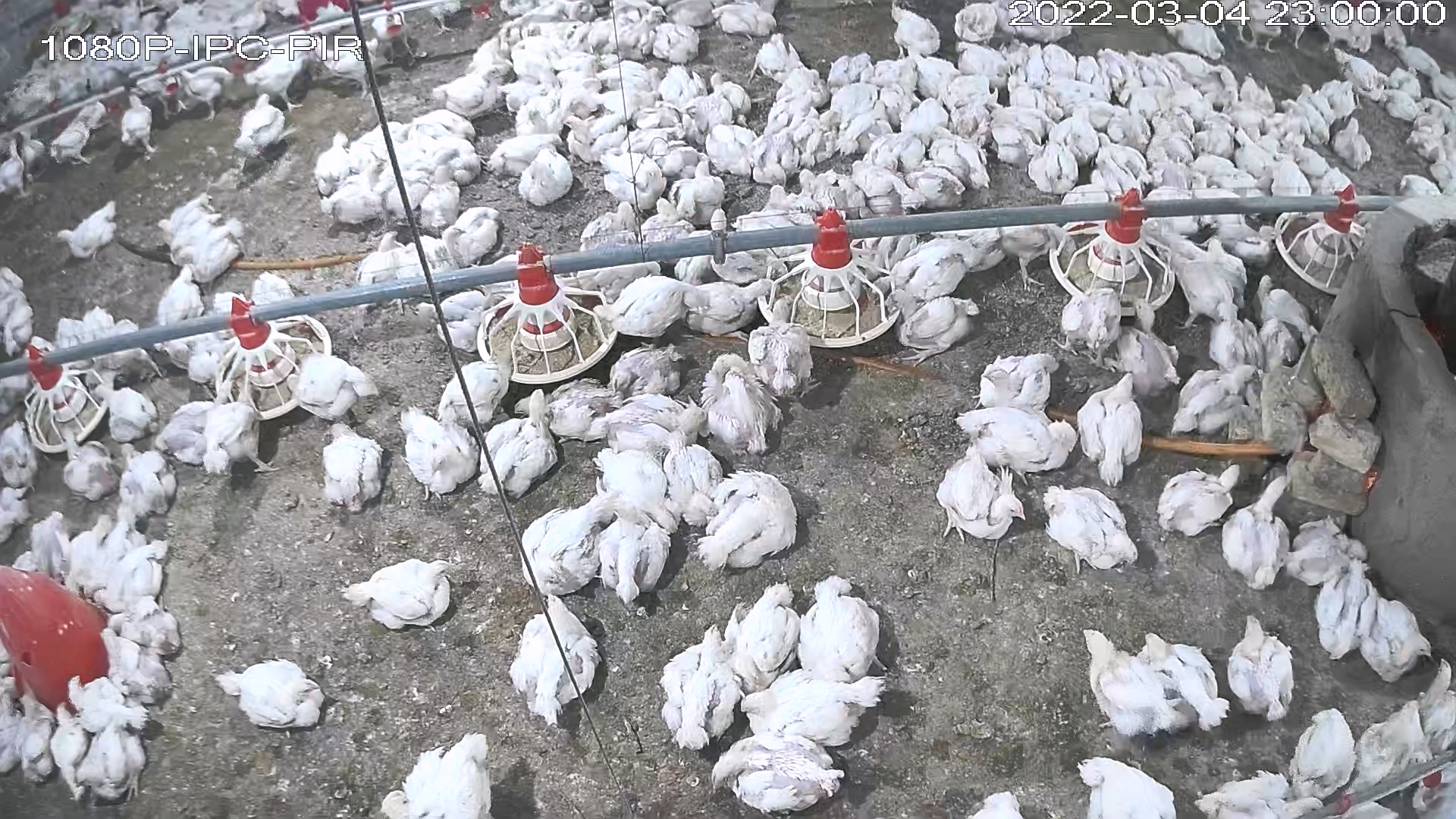 jooje_DB Computer Vision Dataset by morgh detection