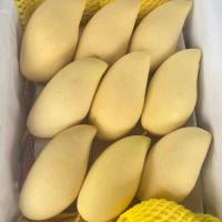 project with mango nam dok mai - Roboflow Universe