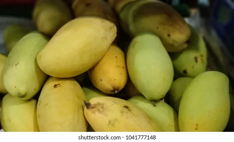 project with mango nam dok mai - Roboflow Universe