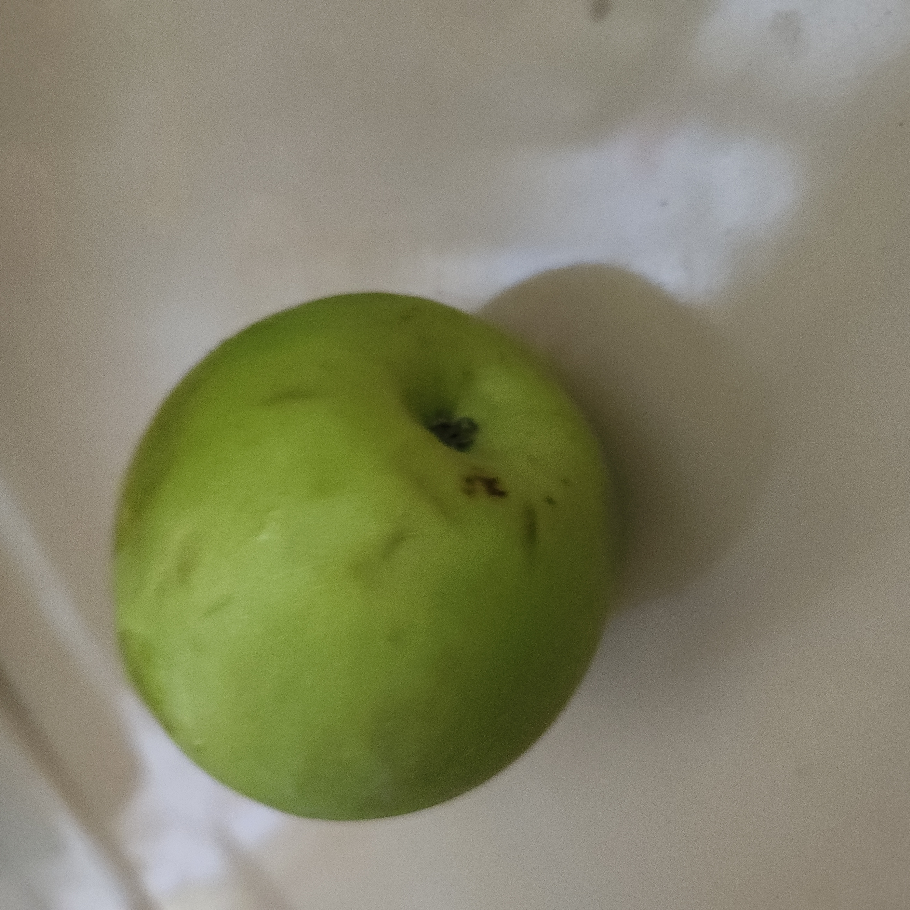 apple-peanuts Classification Dataset by peanutsselfcollect