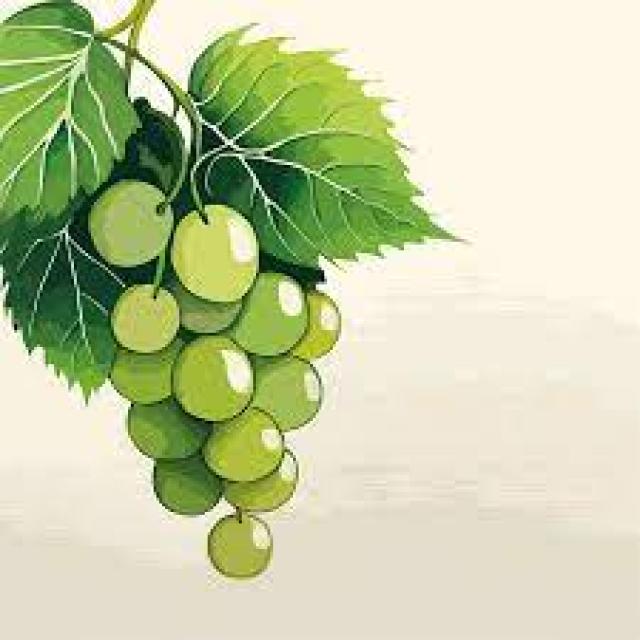 Deep Learning (deep-learning-r0ilj) - Roboflow Universe